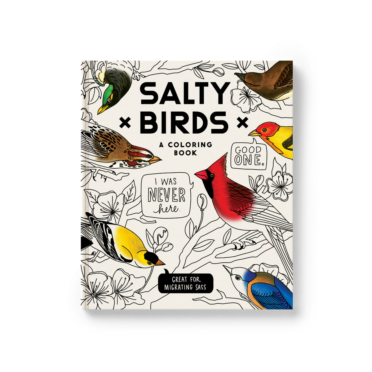 Salty Birds Coloring Book (Novelty Book)– Abrams & Chronicle Books
