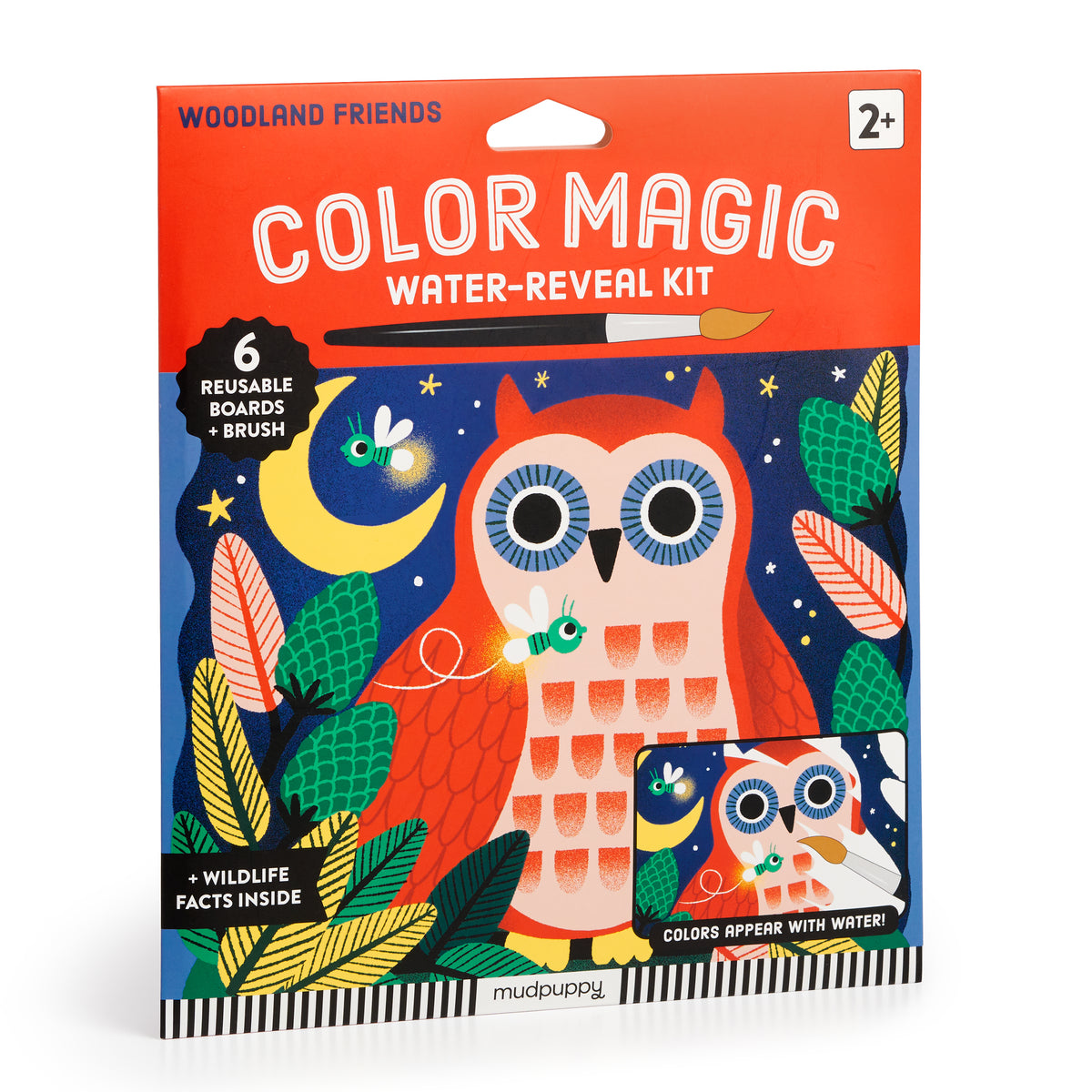 Woodland Friends Color Magic Water-Reveal Kit (Craft Kit)– Abrams ...