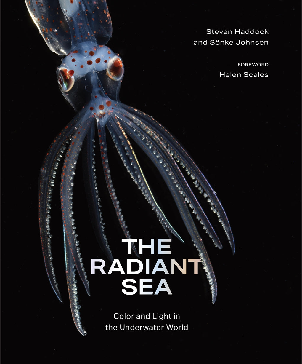 The Radiant Sea - Color and Light In the Underwater World (Hardback ...